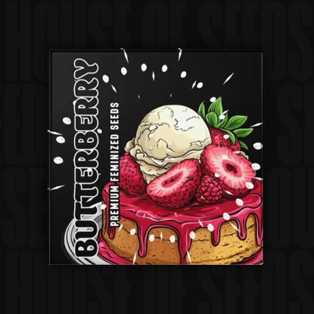 Doja Cannabis Samen kaufen – Best-Preis-Garantie – House of Seeds