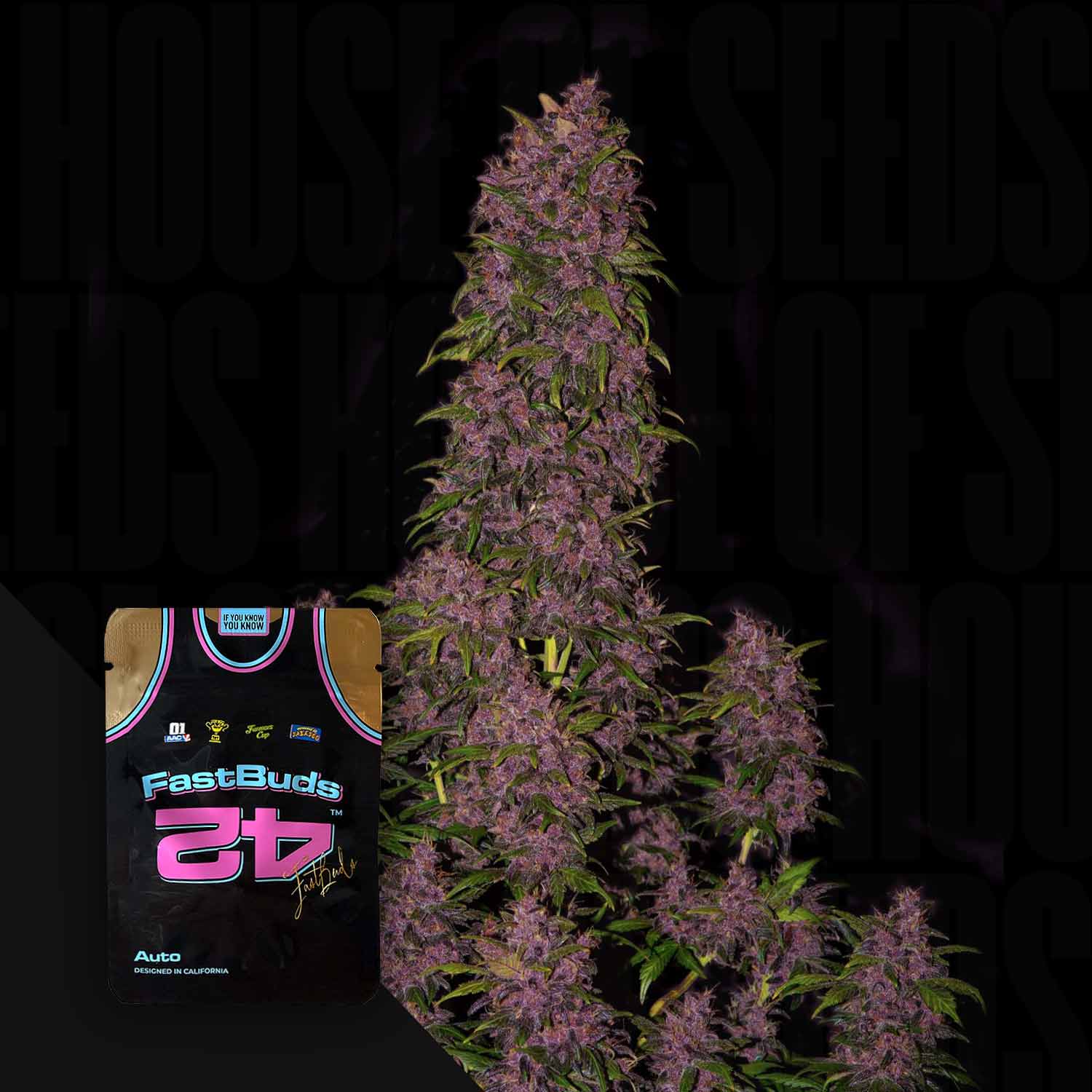 420 Fast Buds "Crystal METH Auto" - Buy cannabis seeds – House of Seeds