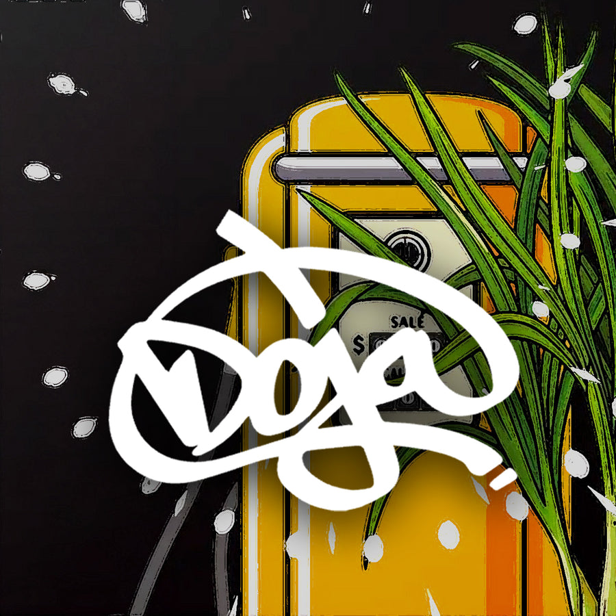 Doja – Exklusive Cannabis-Samen für höchste Ansprüche – House of Seeds