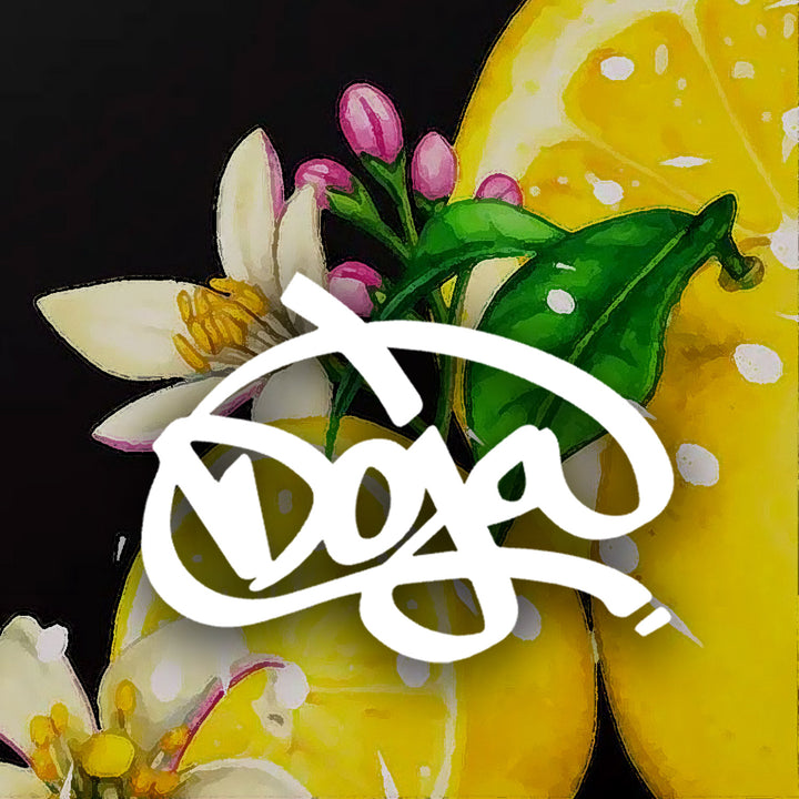 Doja – Exklusive Cannabis-Samen für höchste Ansprüche – House of Seeds